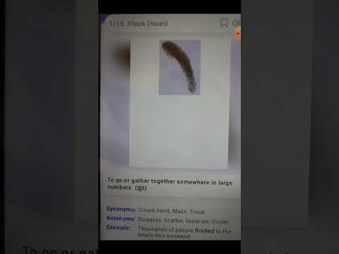 Synonyms of FLOCK ll IELTS vocabulary