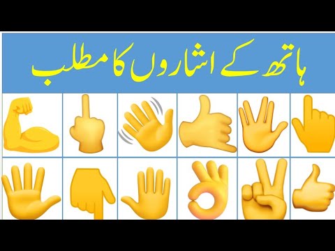 Hand Gestures Emoji Hand Sign Meaning in Urdu @learningwithme6.7m