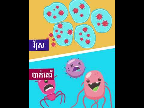 Important facts about antibiotics you may not know