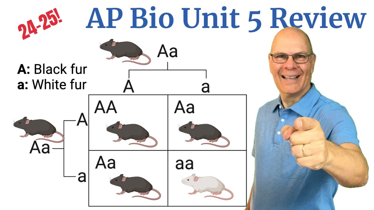 Mastering AP Biology Unit 5: Heredity, Meiosis, and Genetics | Galaxy.ai
