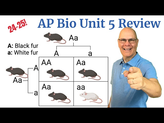 Mastering AP Biology Unit 5: Heredity, Meiosis, and Genetics | Magica