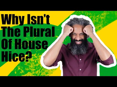 Why The Plural Of House Isn't Hice