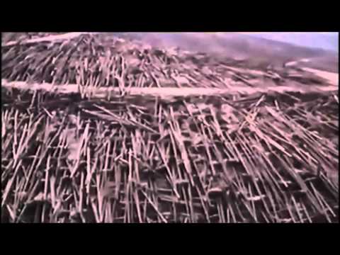 Eruption du mont St Helens... - SafeShare