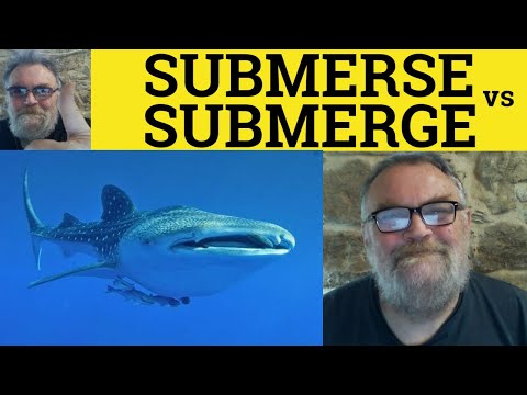 π΅ Submerse or Submerge Meaning - Submerge vs Submerse Defined - Submerge or Submerge Examples