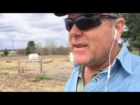 Weaning Mangalitsa Pig Pen 101 -How to build a weaner pen- Facebook Live Replay -