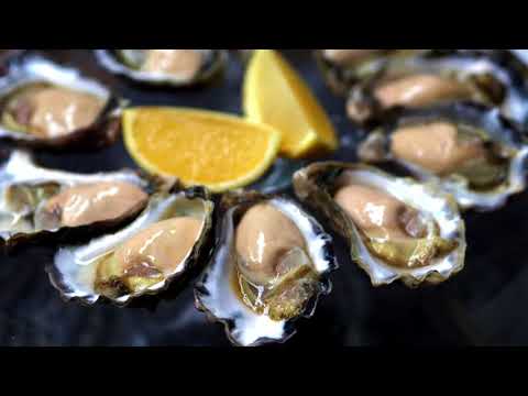 Beach Cabins Merimbula NSW - Winter Holiday Accommodation