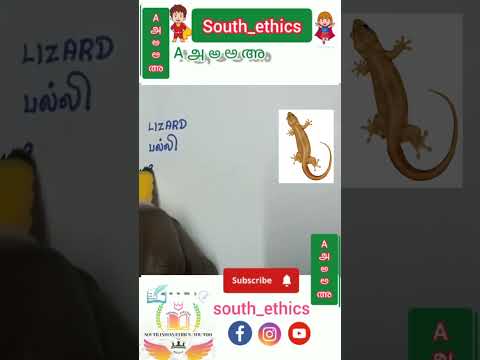 Lizard in multi language #south_ethics #southethics #youtube #shorts #learning #language #பல்லி