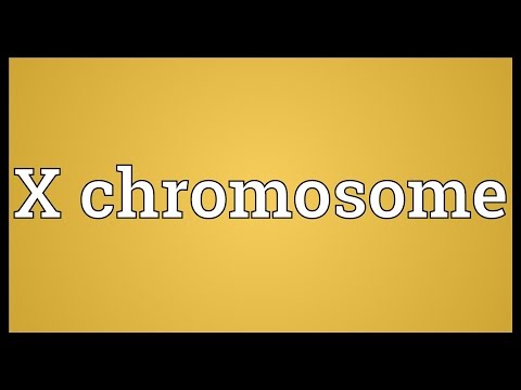 X chromosome Meaning