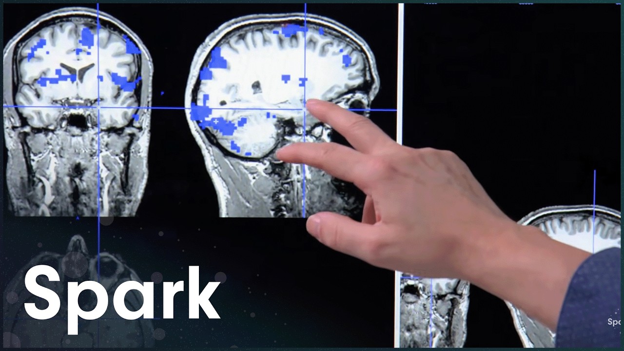 Is Fear a Disease? The Quest to Reprogram the Human Mind