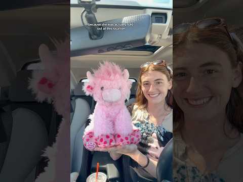 @buildabear #buildabear #buildabearworkshop #strawberrycow #highlandcow #cow #plush #plushie
