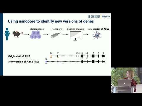What role does RNA play in controlling our immune system?