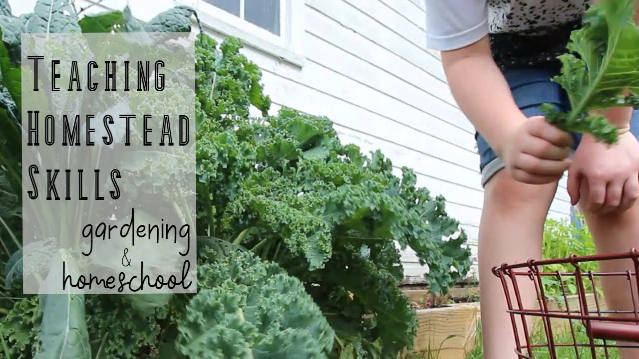 Teaching Homestead Skills ||Homestead Homeschooling || Teaching Gardening To Kids