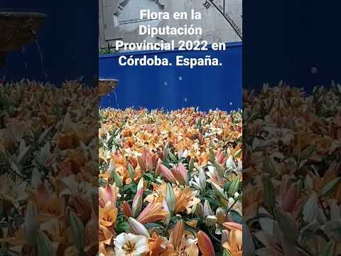 V FLORA EN LA DIPUTACIÓN PROVINCIAL 2022 EN CÓRDOBA. España.