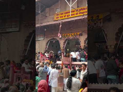 ????????shri Harivansh ????????#vrindavan #shorts