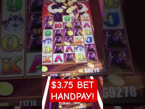 5 of a kind buffalo on 96 lines! #jackpot #casino #slot