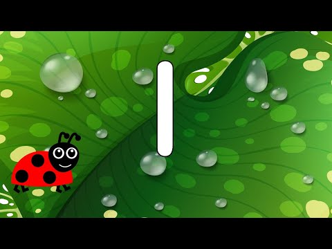 Words starting with l | l words | l sound words | Phonics for beginners