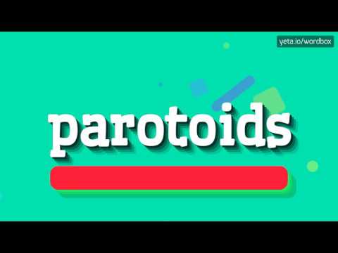 PAROTOIDS - HOW TO PRONOUNCE IT!?