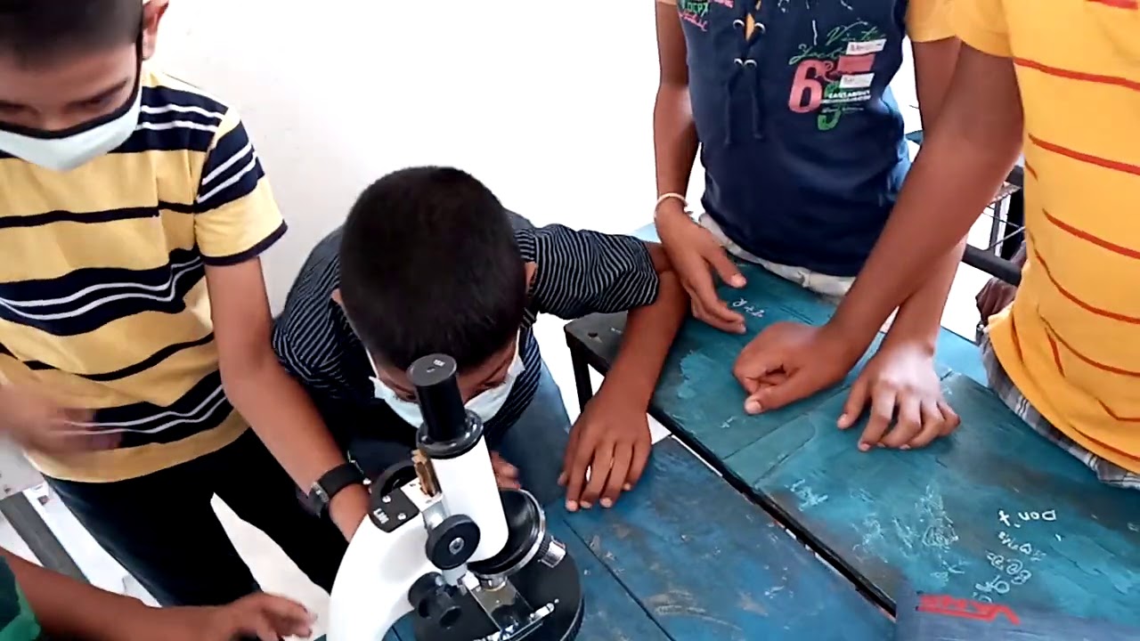 Microscope Practical with My Students