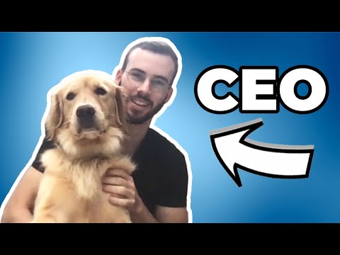 Learn Spanish From a CEO - Connor Grooms Baselang