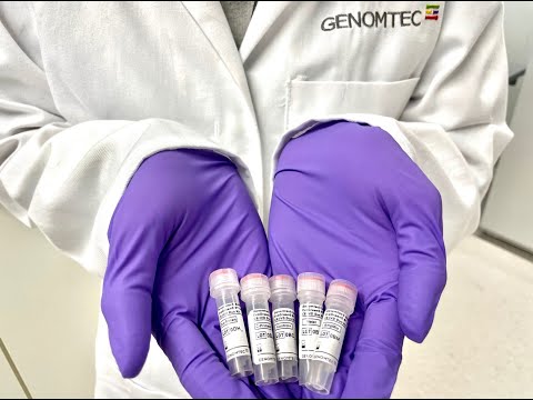 Diagnostics process with a molecular test Genomtec® SARS-CoV-2 EvaGreen® RT-LAMP CE-IV Duo-Kit