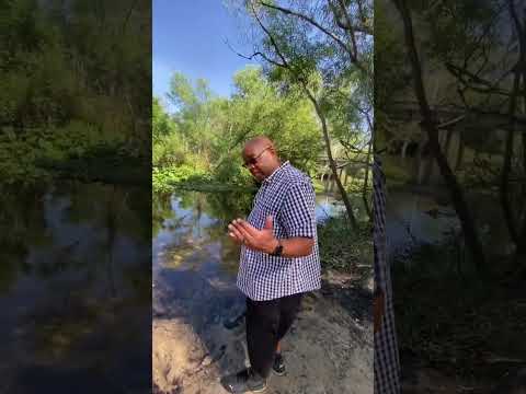 How To Tell If Gators 🐊 Are In The Water #shorts #alligator