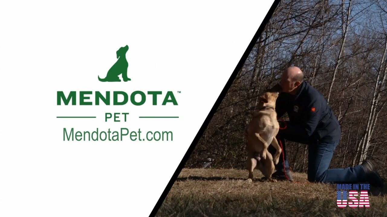 Mendota Pet - Dog Products Made in the USA