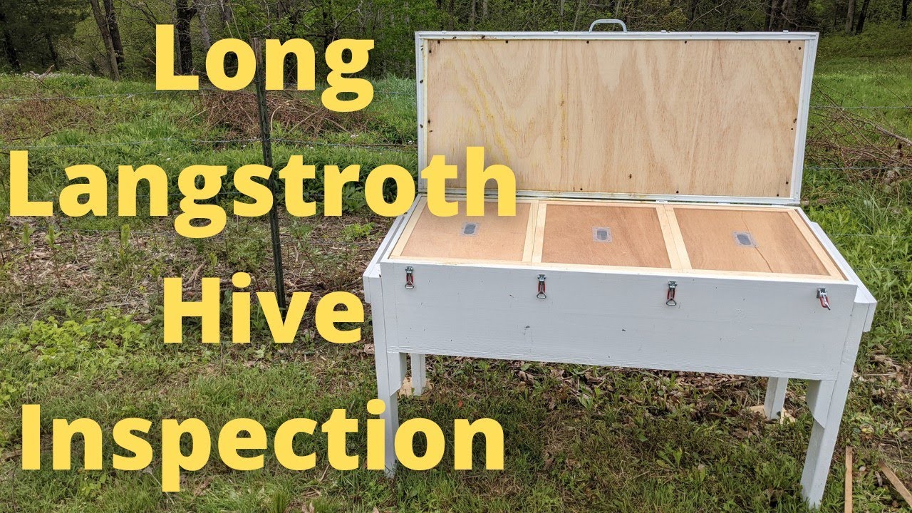 🔵Long Hive Ep. 2. Three new Inner covers and Inspection! 4-24-21