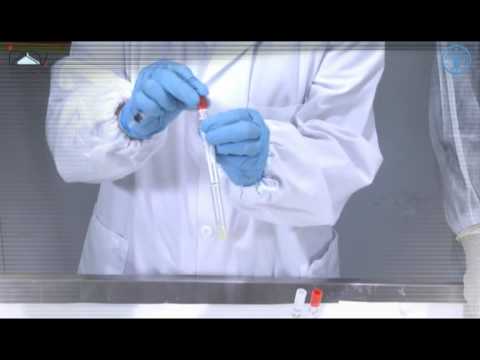 Sample collection in live birds: blood, tracheal and cloacal swat