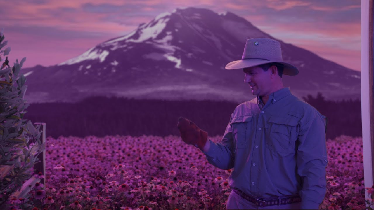 Nutrilite Traceability 9 Step Process: From Seed to Supplement | Amway