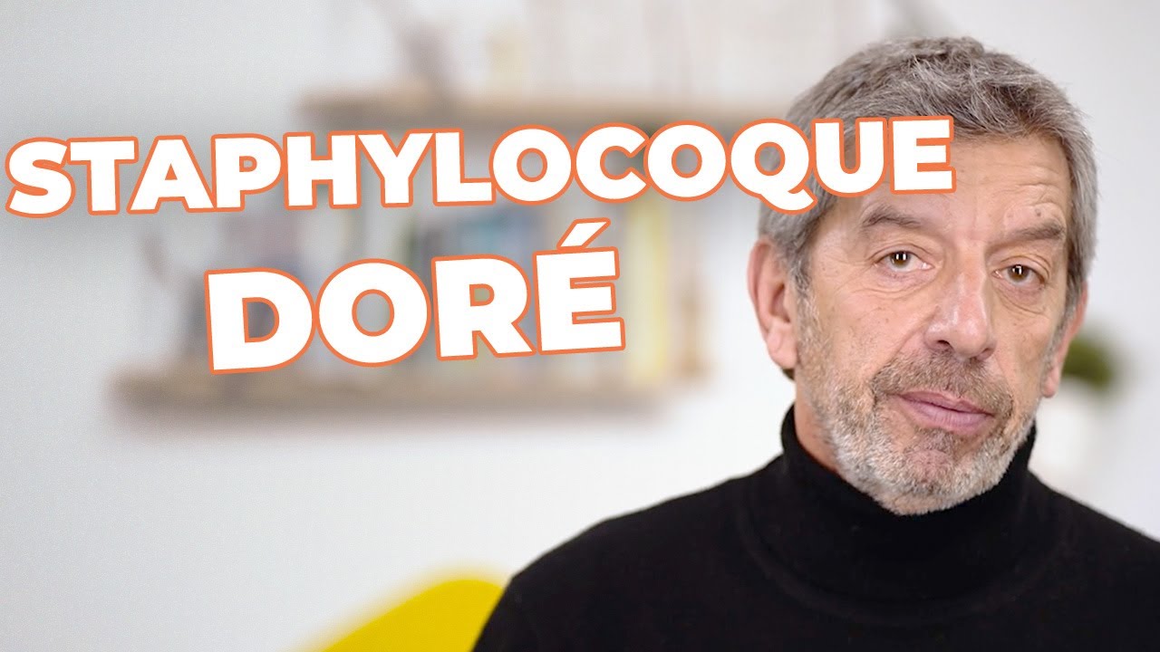 What exactly is Staphylococcus aureus?
