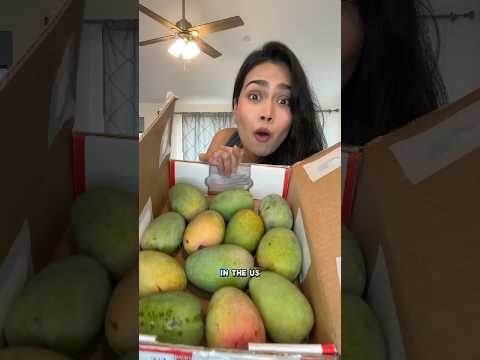 Indian 🇮🇳 Mangoes in USA 🇺🇸 Alphonso , Kesar @weee.indian