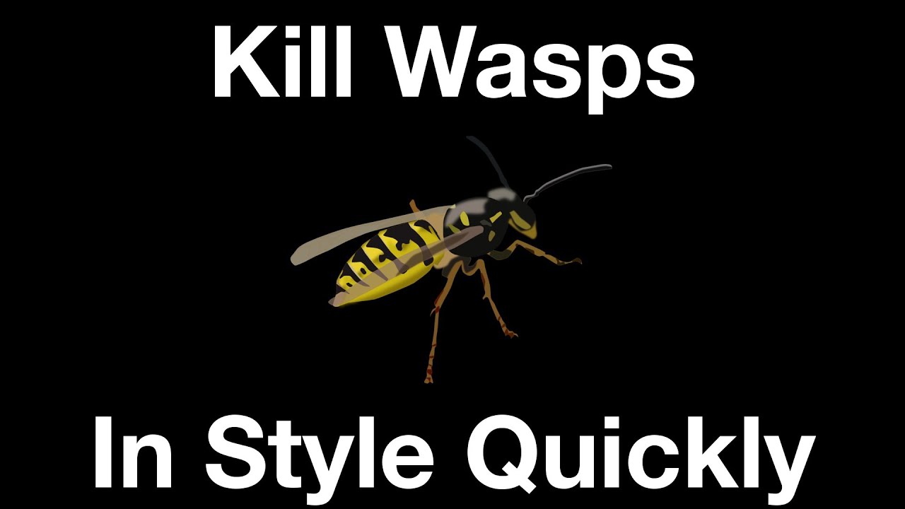 How to Kill Wasps - In Style Quickly and Effectively