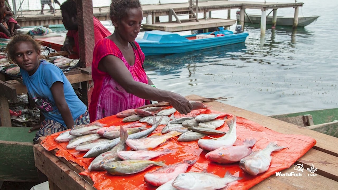 WorldFish 2022 Annual Report [shorts]