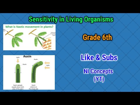 SENSITIVITY IN LIVING ORGANISMS | EXPLAINED BY NI Concepts
