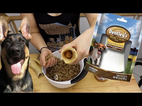 STOP WASTING MONEY | DIY dog treats: Stuffed Femur Bone