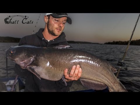 Chatt Cats Fishing Personal BEST Channel CATFISH - Catfishing