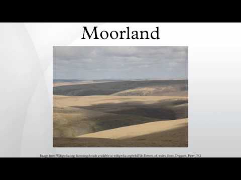 Moorland