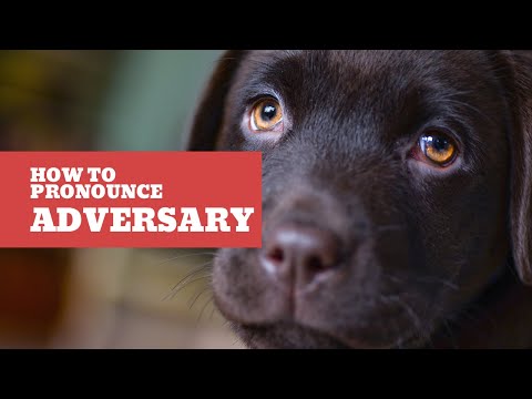 How To pronounce Adversary