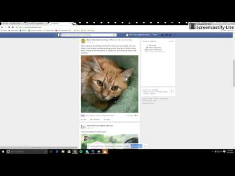 Quick Interaction Ideas for Facebook