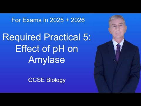 GCSE Biology Revision "Required Practical 5: Effect of pH on Amylase"