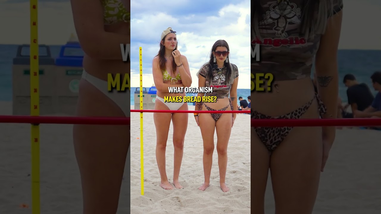 Beach Trivia