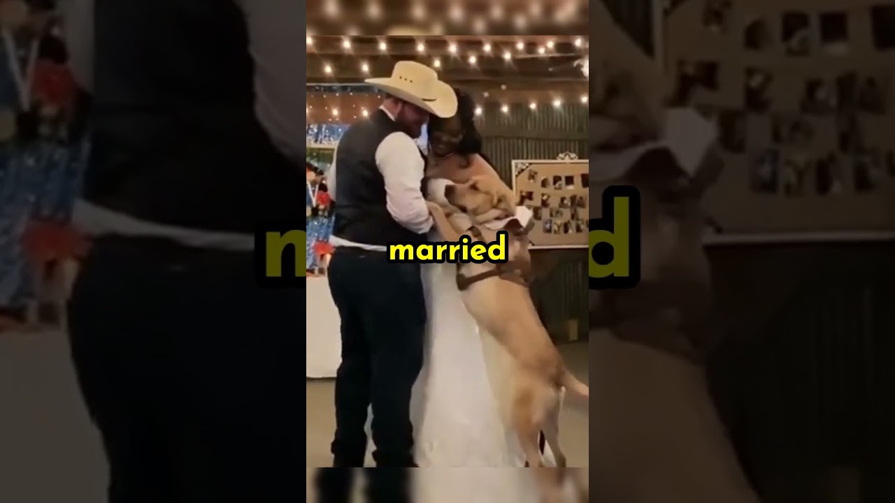 Dog Joins Couple in Dance