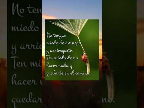 frases de vida #motivacion #atrévete #creerenti