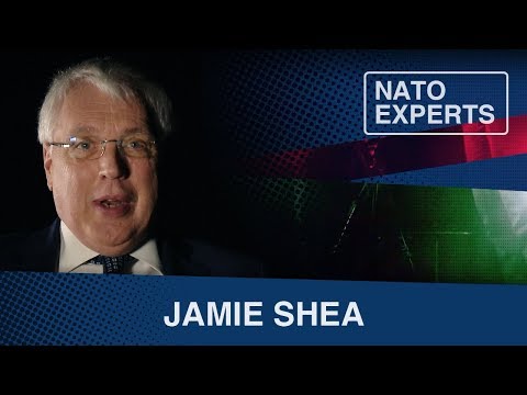 NATO Experts | Why do we need NATO?