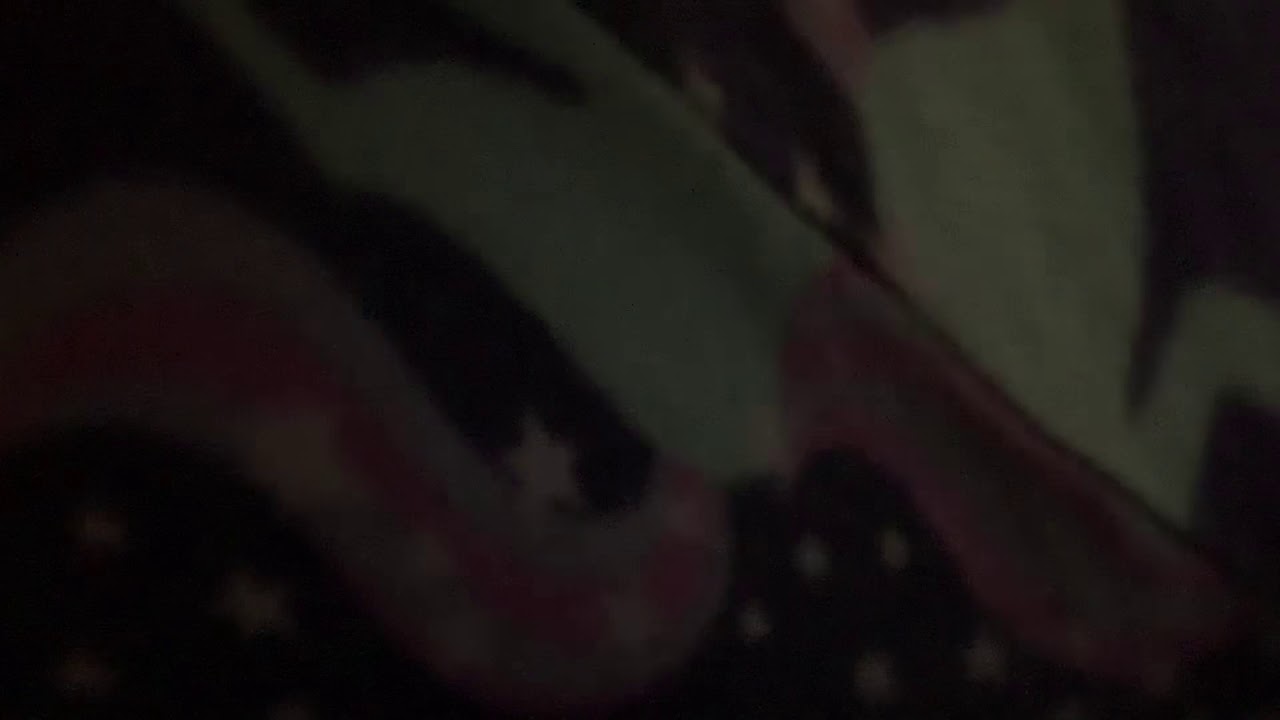 Super wet and bubbly fart // Gassy All The Time