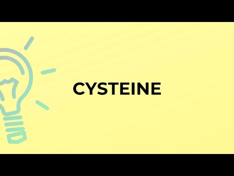 What is the meaning of the word CYSTEINE?