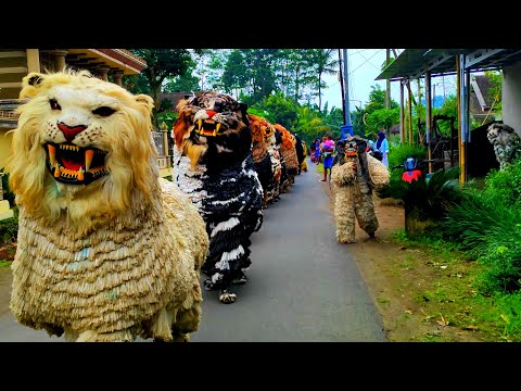 Asmr Lion Dance and Drumband Parade in the Village Of Maesan