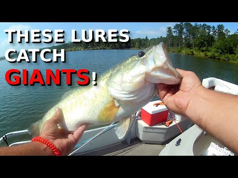Baits ALL The Pros Are Using!