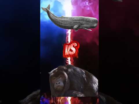 Sperm Whale vs Howler Monkey 🔊 | Who’s Louder?! #LoudestAnimal #AnimalShowdown