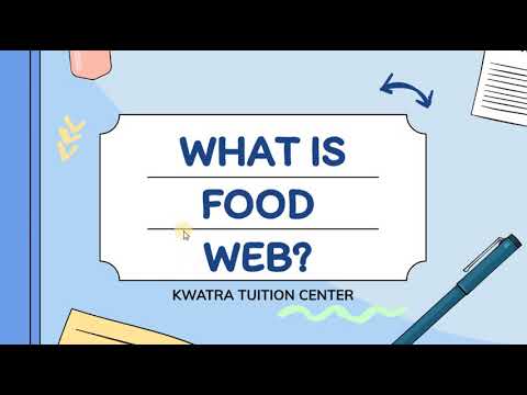 What is Food Web? #Class 10 #ourenvironment #part-3